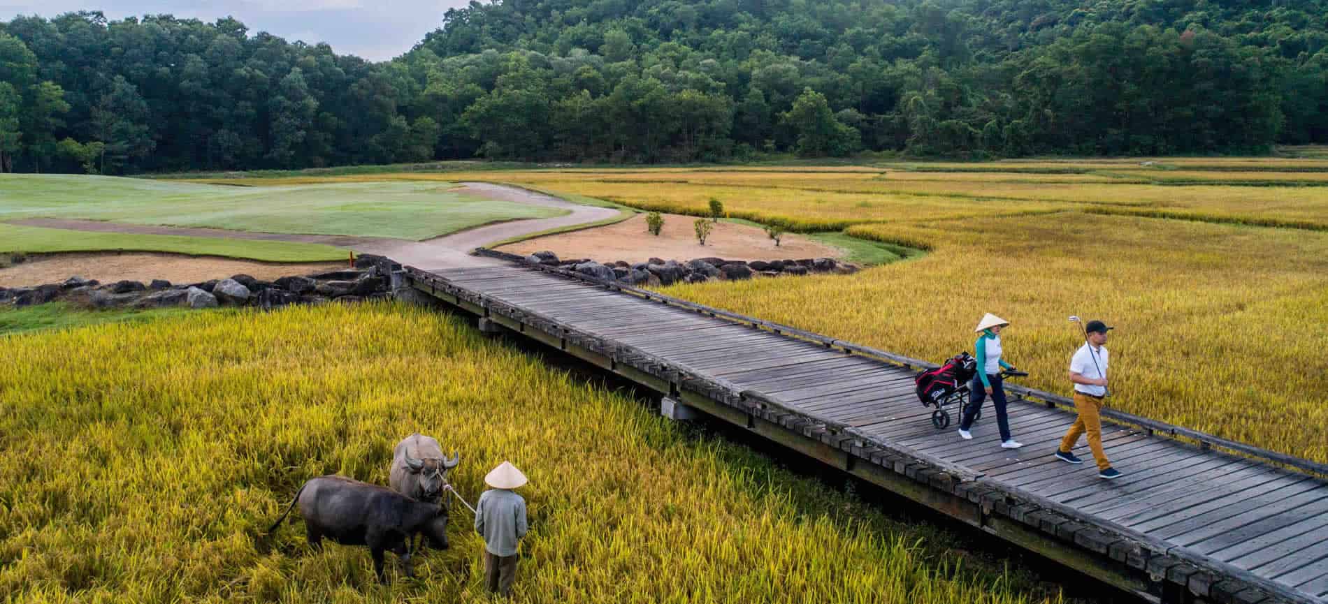 Golf Holiday Packages in Asia | Custom Golf Tours | GolfAsian.com